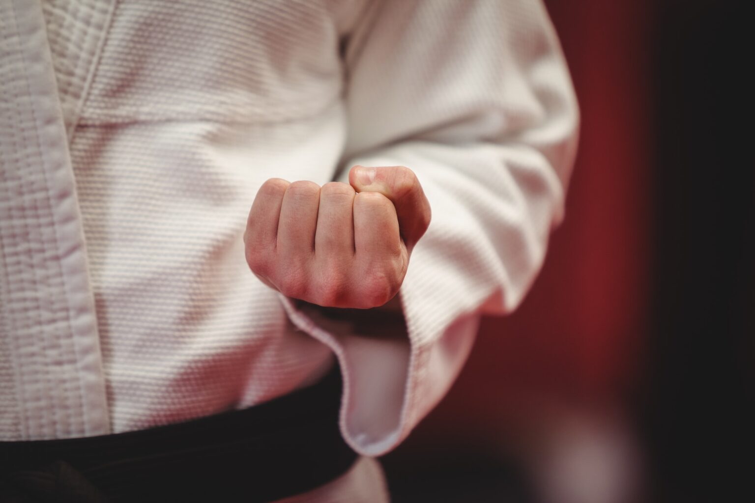 Bushido Martial Arts Dojo | Karate, Self Defense, Kickboxing